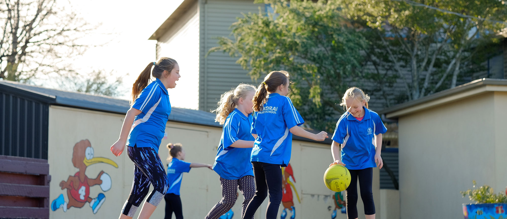 Home » Kaikorai Primary School